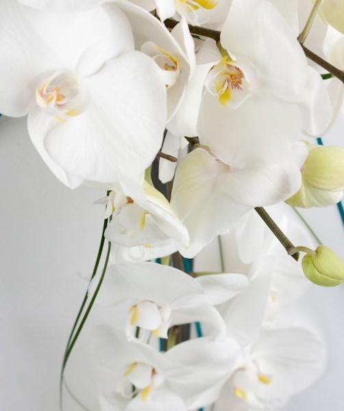 Deluxe Orchid Wedding Flower Package